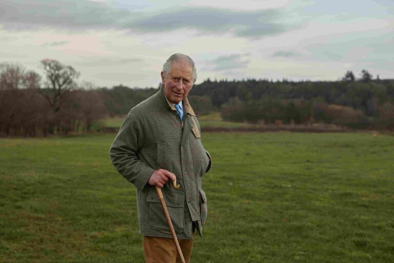 The King's Foundation