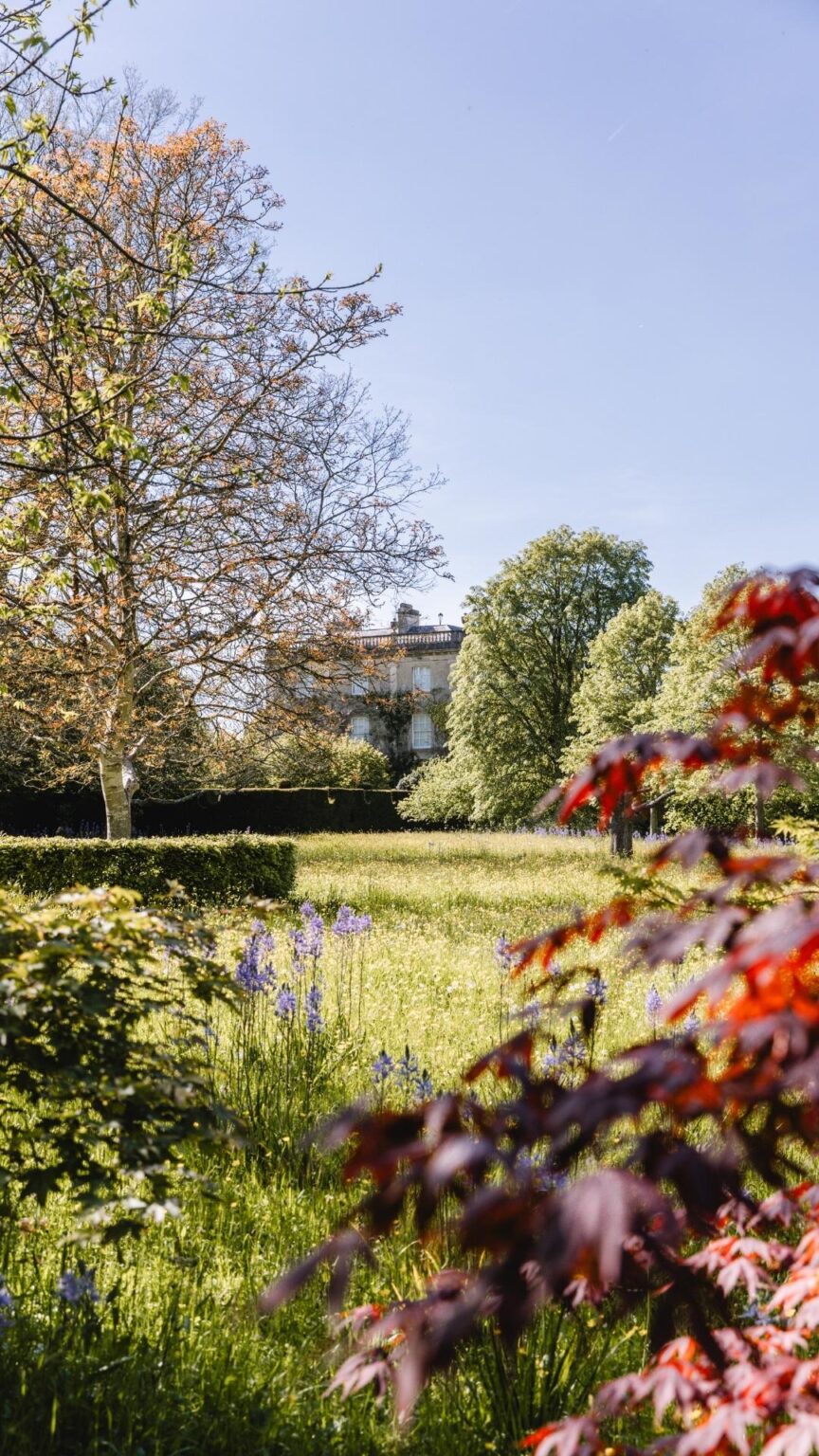 The King's Foundation