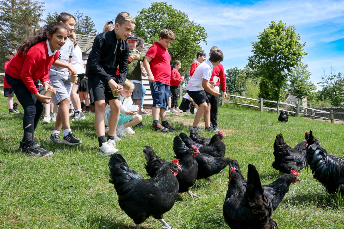 Farming and Rural Skills - The King's Foundation