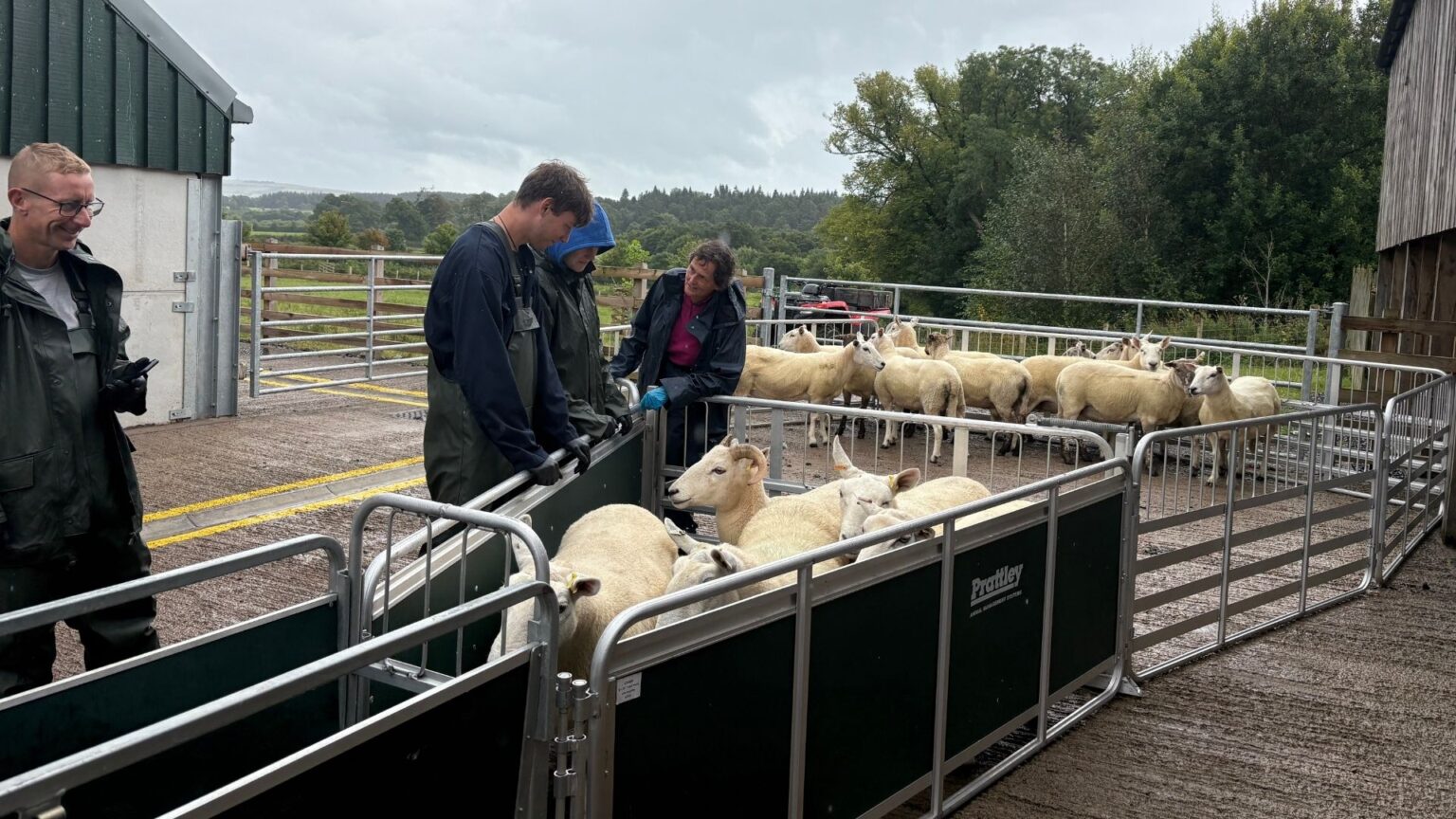 Introduction to Farming and Rural Skills - The King's Foundation