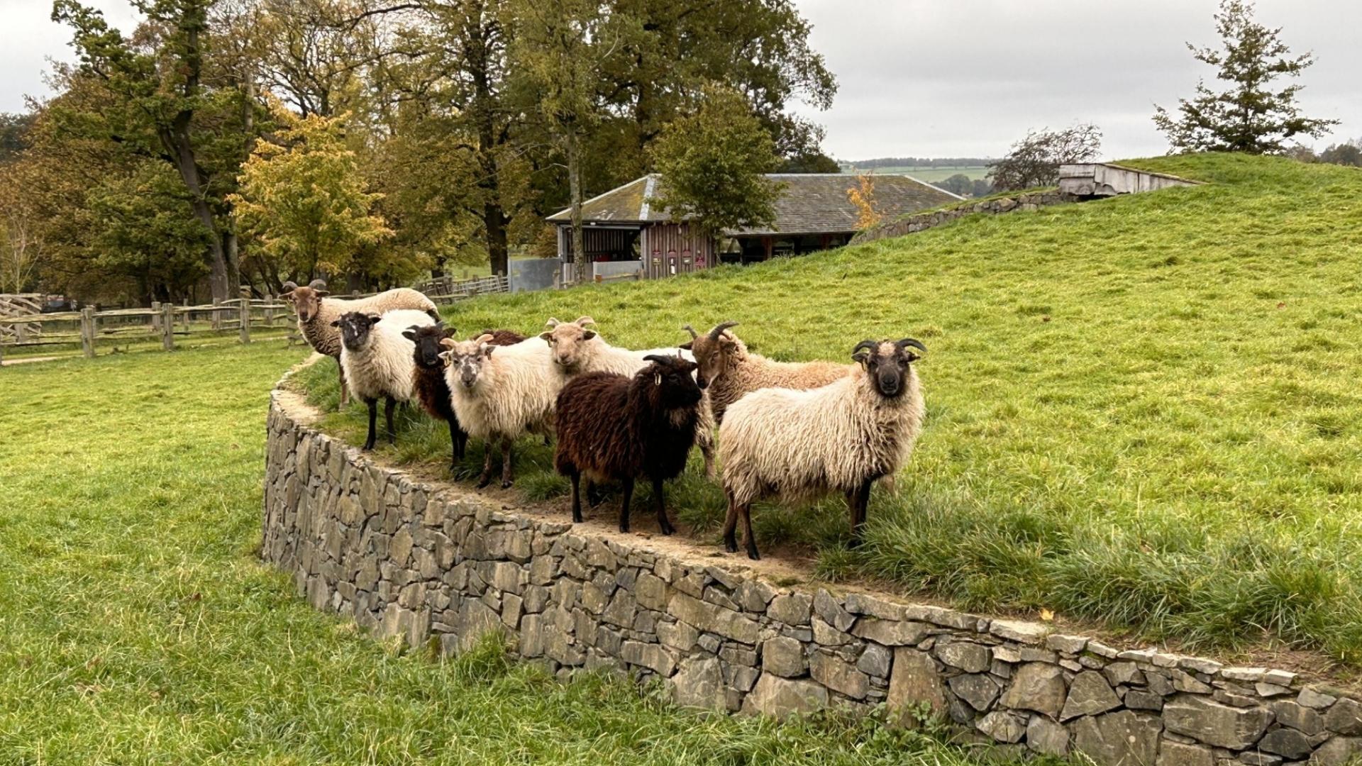 Launching new Farming and Rural Skills course to train the next ...